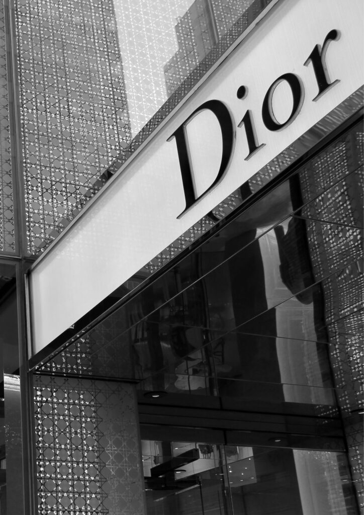 Dior Dog - ByKvist