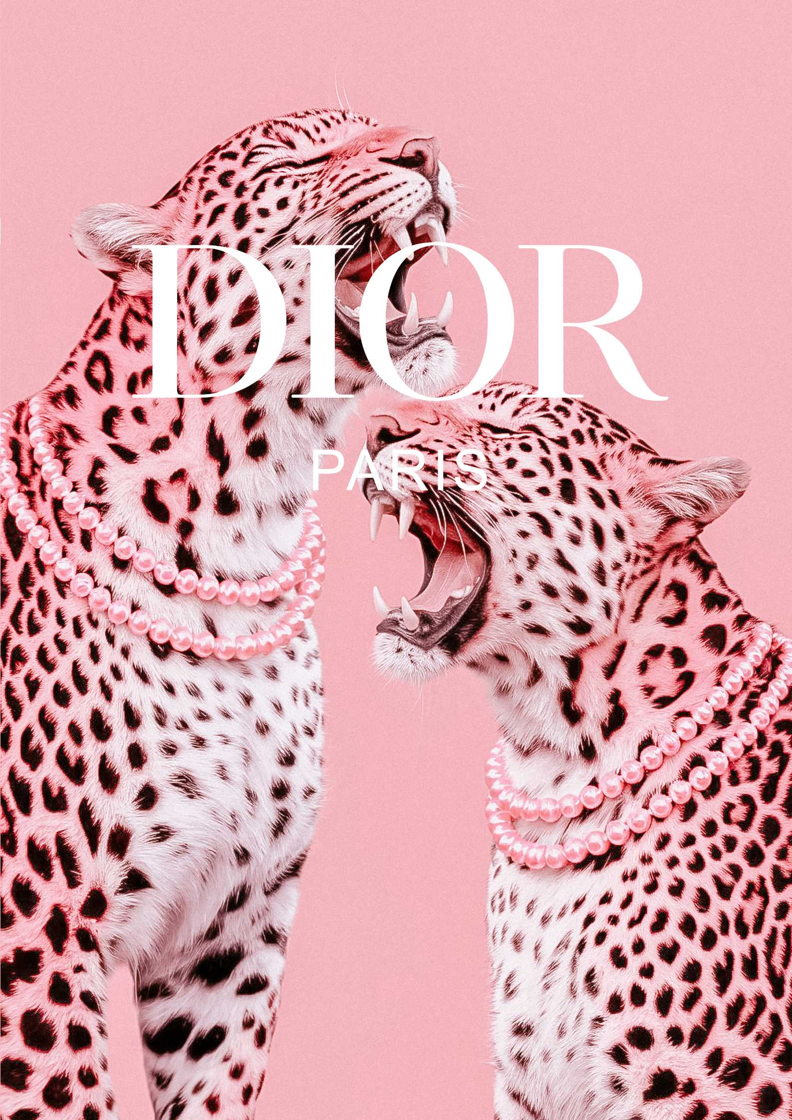 Dior Pink Leopard Plakat - ByKvist